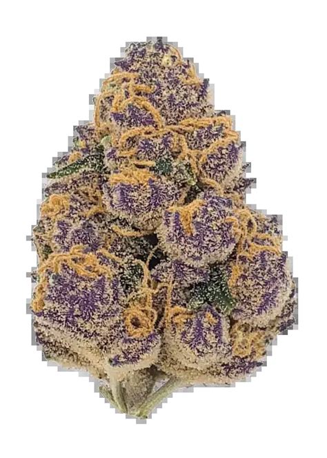 Purple Lemonade Ff Cannabis Strain Diaries Growdiaries