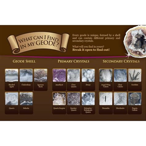 Break Your Own Geodes Kit 12 Whole Geodes Miner S Choice Geode How