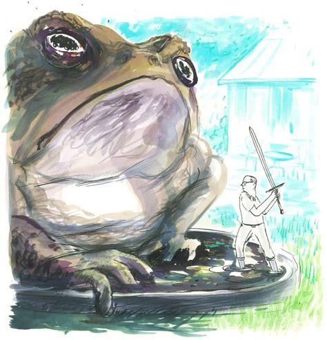 Opinion I Killed The Bufo Toad The New York Times