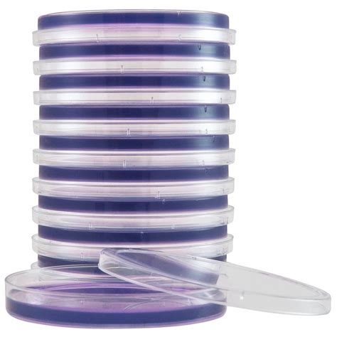 De Dey Engley Neutralizing Agar Pre Poured Ready Agar Plates 10