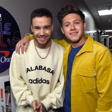 One Directions Liam Payne Reunited With Niall Horan Before His Death