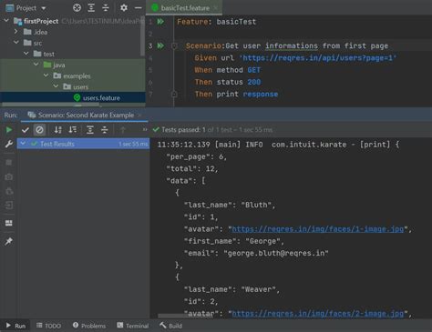 What Is Karate Dsl How To Create A Project And Perform Web Service Testing Merve Bozkir