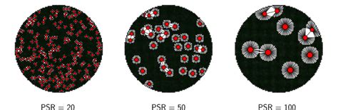 Three Hierarchical Porous Particles At A Fixed Porosity But At Three Download Scientific