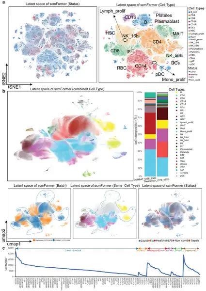 New Multi Task Deep Learning Framework Integrates Ainave