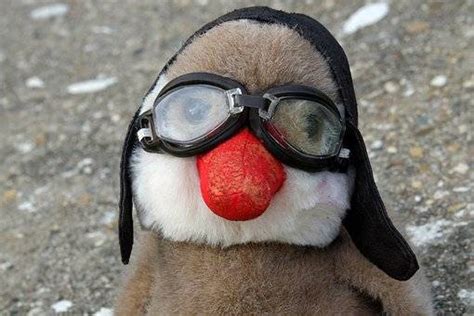 Glasses Pressure On Nose Easy Fix Bye Bye Nose Dents