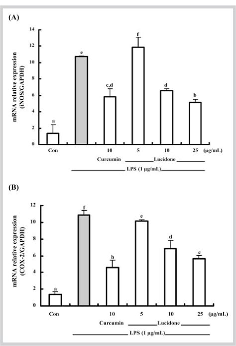 Real Time Rt‑pcr Analysis Of Inos And Cox 2 Mrna Expression In Raw
