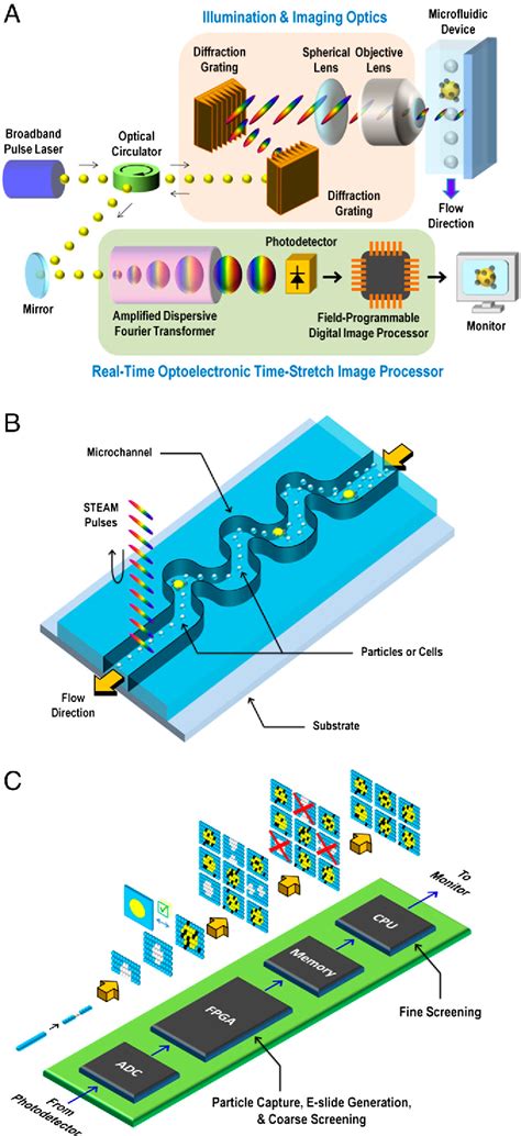 Figure 1 From High Throughput Single Microparticle Imaging Flow