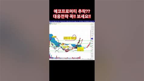 에코프로머티 주가전망 대응전략 무조건 보세요 Youtube