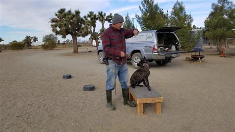 Solving Reactivity Youtube