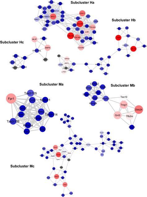 Subclusters Produced From The Ppi Network Using Mcode These Show The