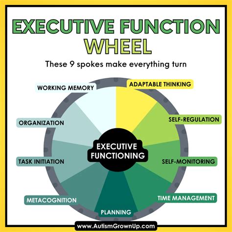 What Is Executive Functioning — Autism Grown Up