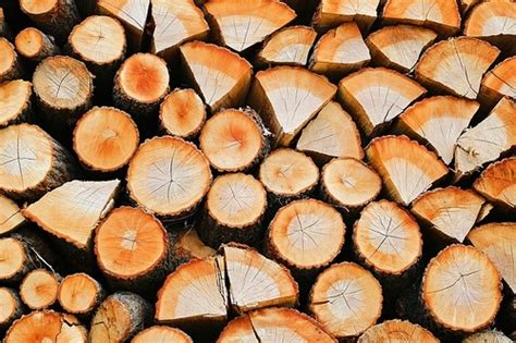 유토이미지 쌓여있는 통나무장작