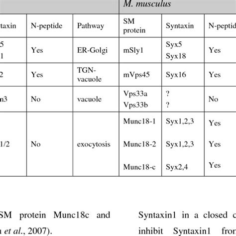 The Different Interaction Modes Of Sm Proteins Purple With Syntaxin Download Scientific