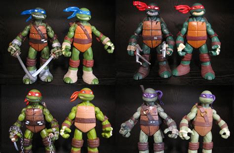 shaw s custom turtles and etc