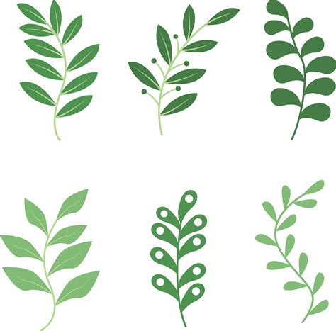 Leaf Decoration Shape Simple Design Vector Illustration 29218019 Vector Art At Vecteezy