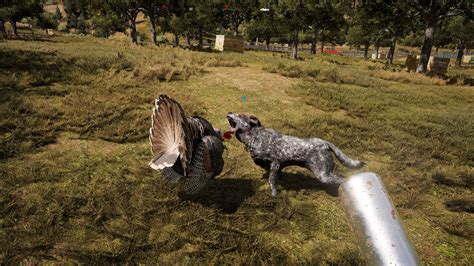Get Best Far Cry 5 Performance 10 Graphics Cards Tested At Ultra