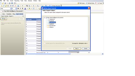 creating checkbox input control in webi sap community