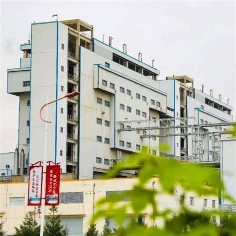 气化细渣“重生”之路 废渣 处理 研究