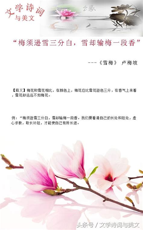 16句唐詩宋詞教你美化口才 每日頭條