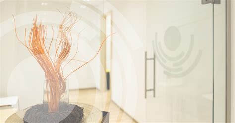Unsere Praxis Praxisklinik Am Rosengarten Mannheim