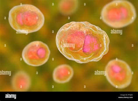 Ceguera Por Tracoma Fotografías E Imágenes De Alta Resolución Alamy