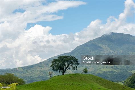 地平線に青い空と山を持つタメシスのパノラマ風景コロンビア アンティオキア県のストックフォトや画像を多数ご用意 アンティオキア県