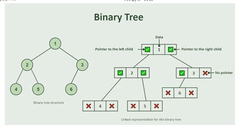Tree — My Sample Book