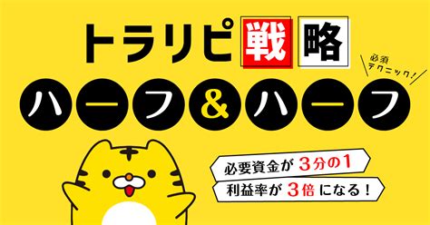 【トラリピ】ハーフandハーフ戦略。必要資金が3分の1、利益率が3倍に どるとんの投資ライフ