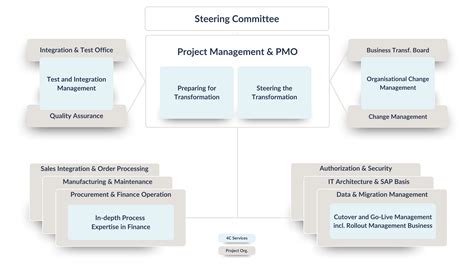 Sap S Hana Cfo Advisory