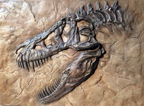 T Rex Fossil Replica 11 X 14 Relief Sculpt Stannarts