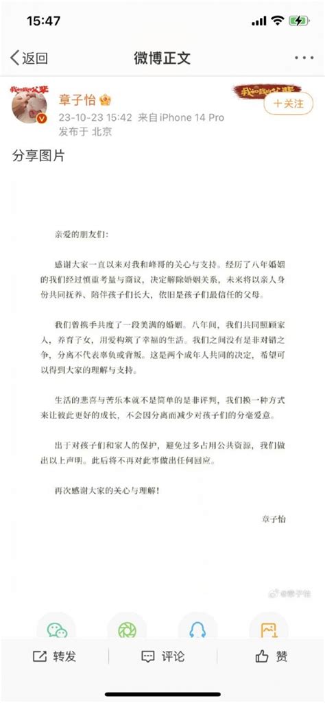 离婚半年后，章子怡突然官宣喜讯！恭喜，终于等到这一天！