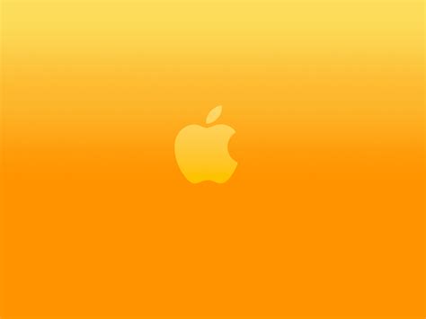 Bright Orange Wallpaper Wallpapersafari