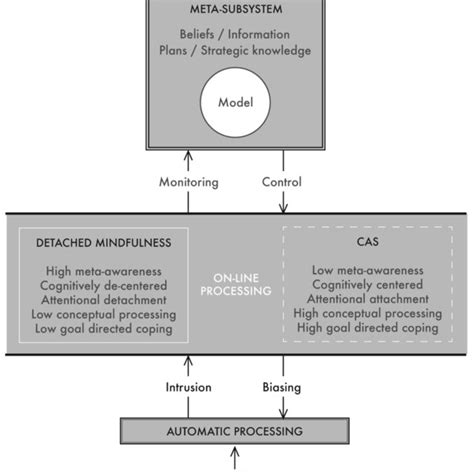 The Wells And Matthews 1994 Self Regulatory Executive Function Download Scientific Diagram