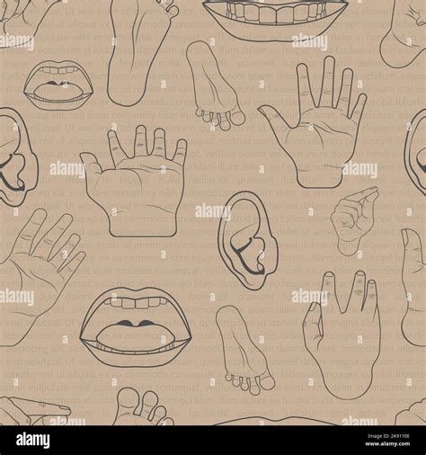 A Seamless Pattern Of A Set Of Human Body Parts Stock Vector Image