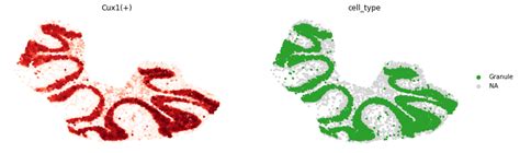 Mouse Cerebellum Slide Seqv2 — Spagtl 001 Documentation