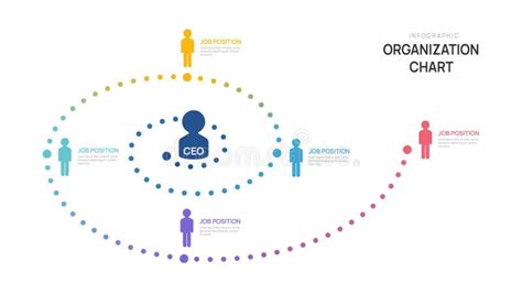 Infographic Template Circle Organization Chart With Business Avatar
