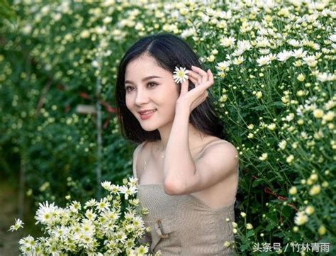 野菊花田中的美女 每日頭條