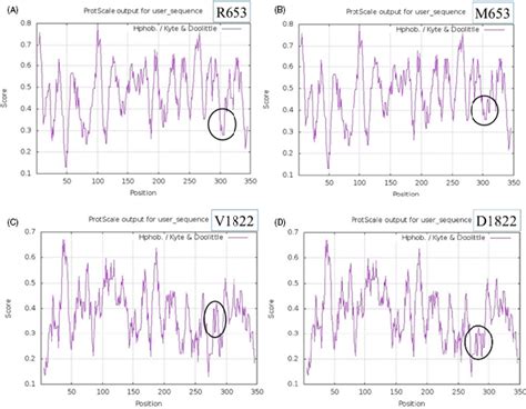 The Plot Of Hydrophobicity Of A A Wild Type In Position 653 Arg