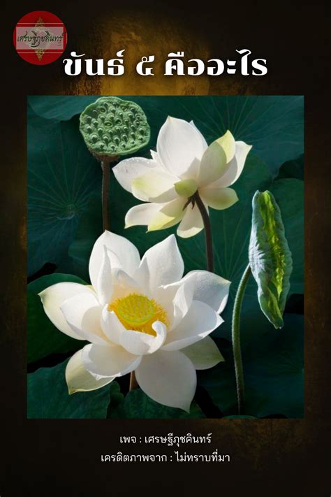 เศรษฐีภุชคินทร์ เศียรองค์อนันตนาคราช ตอนทำพิธีสรงน้ำ ซึ่งเดิมทีเป็นเหมือนปูนธรรมดา แต่พอเอา