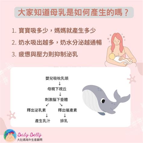 310衛教課程 母乳哺餵非難事 大肚媽海外生產顧問｜美國加拿大月子中心｜美加寶寶生小孩顧問