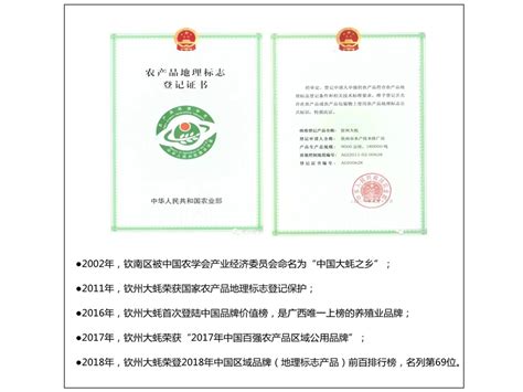 蚝有来头钦州的每只大蚝都不简单