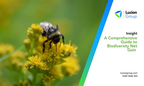 Navigating Biodiversity Net Gain A Comprehensive Guide And Impact