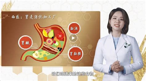 食欲不振消化不良这些夏季常见脾胃病今晚730直播间权威专家教你解决 哔哩哔哩