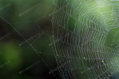 How To Draw A Spider Web Step By Step