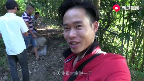 農村生豬1斤15塊錢，老農傢這一頭最少也能賺3000元，這下虧瞭 Youtube