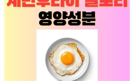삶은계란 1개 칼로리 1일 영양섭취기준 영양성분 함량 성분 Top3 효능 네이버 블로그