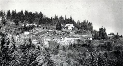 Friends Of Terwilliger