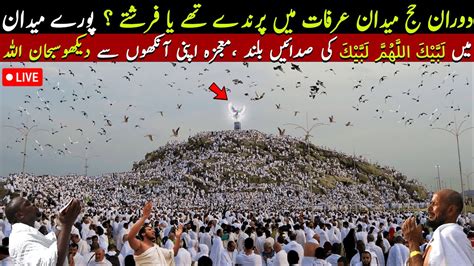 Hajj Ke Doran Medan E Arafat Par Parinday Ya Farishty Mojza Dekho Youtube