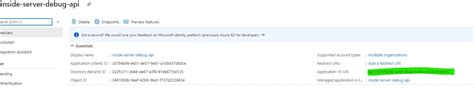 Angular Spa Net Api Graphapi · Issue 959 · Damienbodangular Auth