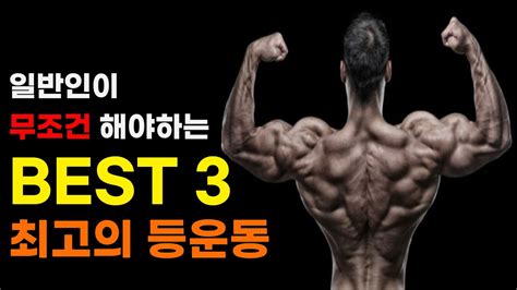 일반인이 등 근육 넓히는 가장 빠른방법 초보자 등운동 루틴 딱 이렇게만 하세요 Youtube